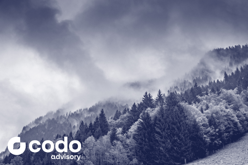 Codo Advisory Guiding Companies On Their Decarbonization Journey