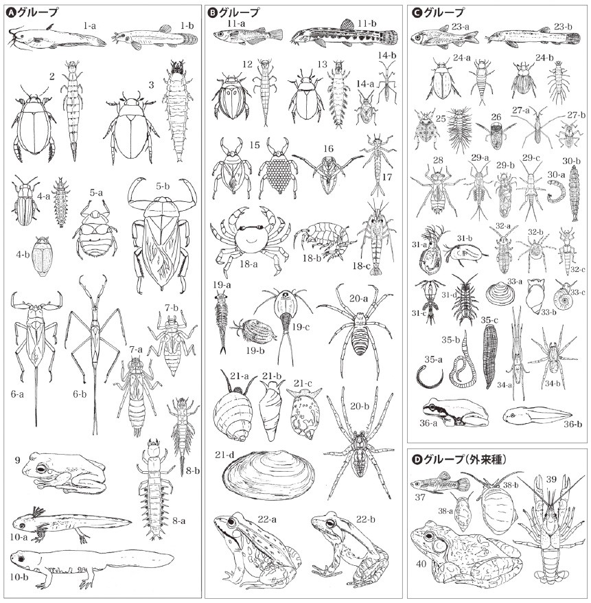 kankyoushindan – Codo Advisory