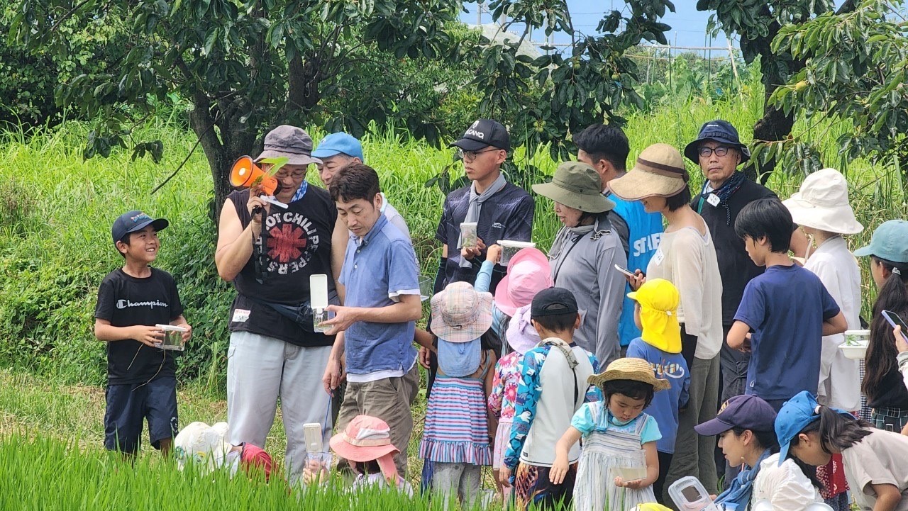 workshop – Codo Advisory